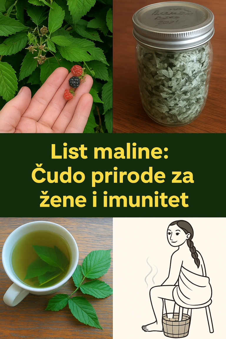 Moć lista maline: 30 prednosti i kako ih koristiti – Balkan Fit